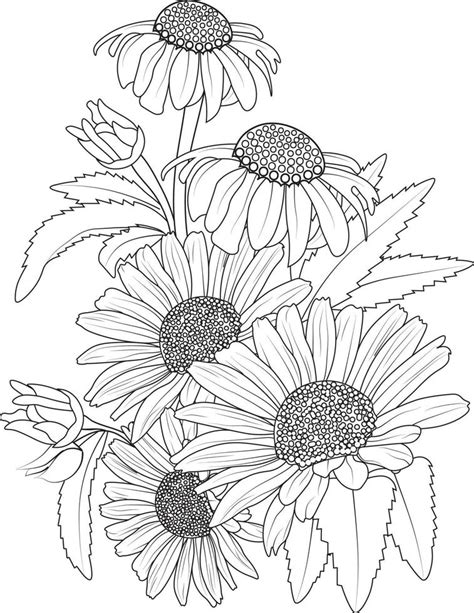 Daisy Pencil Drawing