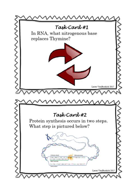 protein synthesis task cards 1 pdf translation biology messenger rna