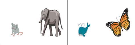 Example Stimuli For The Animal Stroop Task Left Congruent Condition