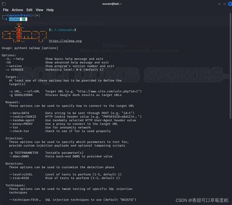 Sql 注入神器：sqlmap 参数详解sqlmap指定注入参数 Csdn博客