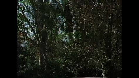 Sex Asylum 3 Hd Tracey Adams Erica Boyer Eporner