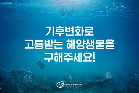한국기후환경네트워크 환경오염으로 인한 기후변화가 해양생물에게도 영향을 끼치고 있어요 😭 심각성을