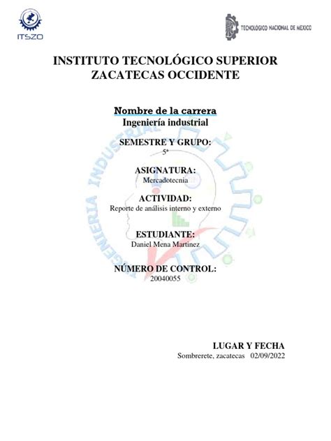 Reporte De Analisis Interno Y Externo De Empresa Pdf Business