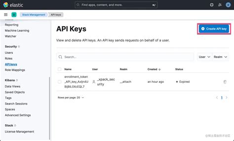 Elasticsearch：关于在 Python 中使用 Elasticsearch 你需要知道的一切 8x 掘金