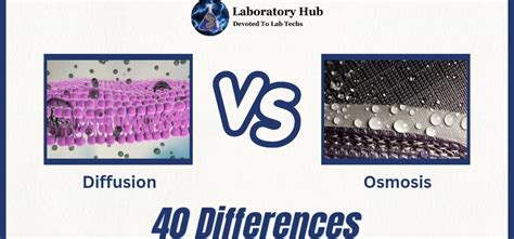 Difference Between Diffusion And Osmosis Laboratory Hub