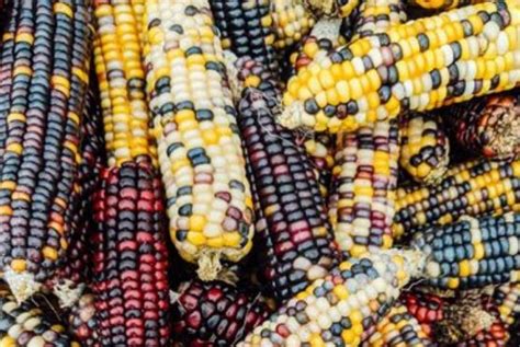 Docker Compose部署达梦（dameng8）并配置客户端连接 数据库 梦绘设计