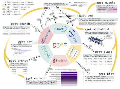 Antisense On Twitter Gget Efficient Querying Of Genomic Reference Databases