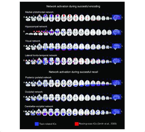Spatial Correspondence Between Each Of The Download Scientific Diagram