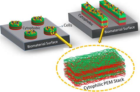 Polyelectrolyte Multilayers For Bio‐applications Recent Advancements Pahal 2017 Iet