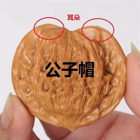文玩核桃历史之官帽核桃 知乎