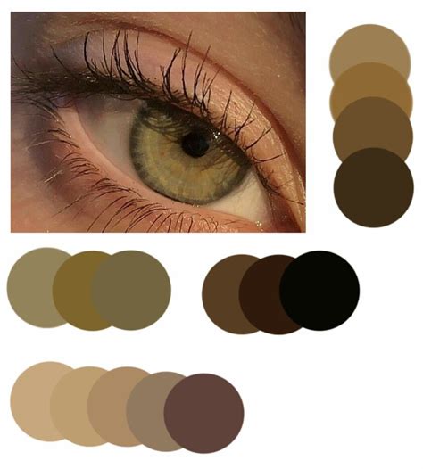 Hazel Color Eyes In French At Janine Litwin Blog