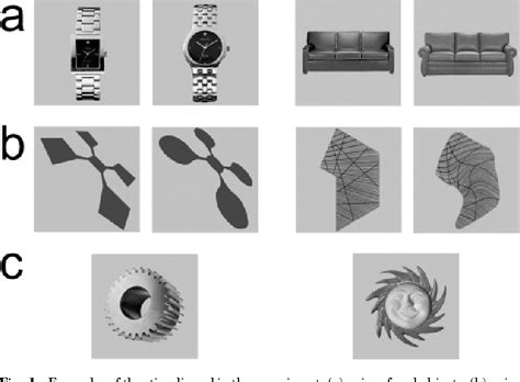 Figure 1 From Humans Prefer Curved Visual Objects Semantic Scholar