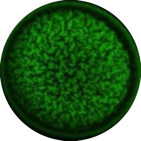 Encapsulated Probiotics — Anabio Microencapsulation Of Sensitive Ingredients