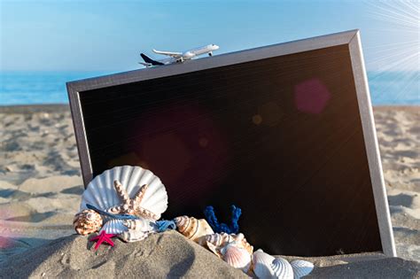 열대 배경 화창한 날에는 바다 해변의 검은 책상 근처에서 글로브 조개 비행기 및 불가사리 텍스트공간을 복사합니다 검은색에 대한 스톡 사진 및 기타 이미지 Istock