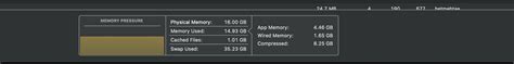 Wtf Is This Insane Swap Memory Usage Rmacbook