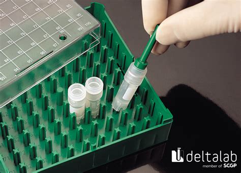 Sample Storage All The Models