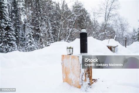 검은색 무광 보온병과 가문비나무 나뭇가지가 달린 머그잔이 눈 덮인 그루터기 위에 서 있습니다 겨울 서리에 따뜻한 차 미니멀한 피사체 촬영 겨울에 대한 스톡 사진 및 기타