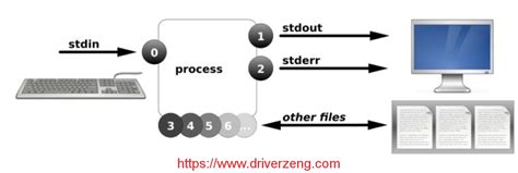 Linux系统管理 标准输入和标准输出linux标准输入输出 Csdn博客 Linux系统管理 标准输入和标准输出linux标准输入输出 Csdn博客