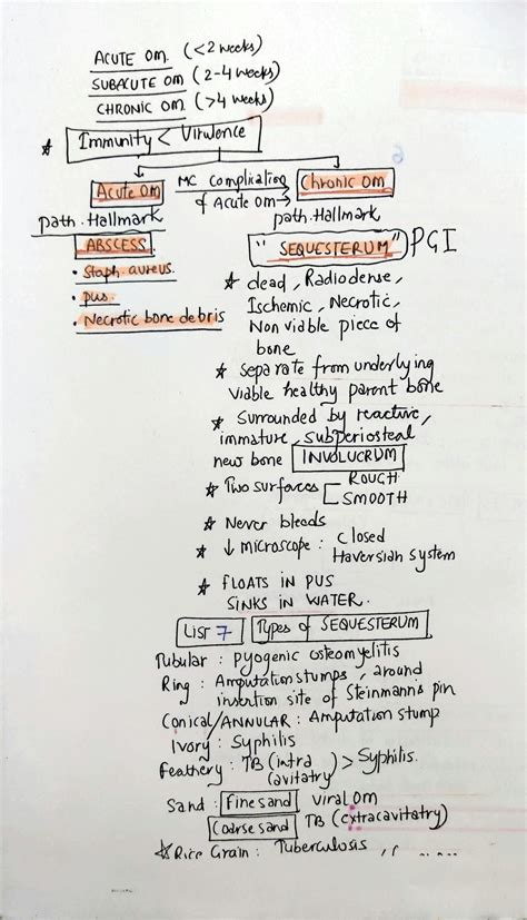 Solution Osteomyelitis Pathology Studypool