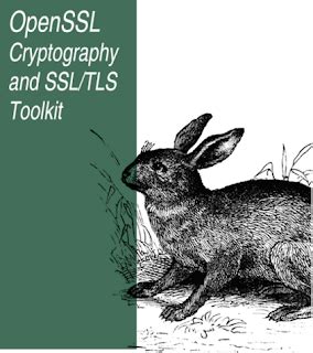 Openssl Cryptography And Ssl Tls Toolkit Intercambios Informaticos