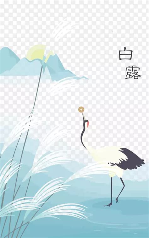 矢量清新白露插画PNG图片素材下载 图片编号7629267 PNG素材网