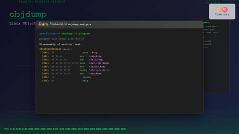 Strip Command Linux Complete Guide To Removing Symbols From Object Files Codelucky