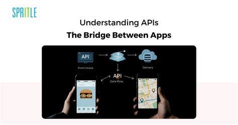 Manual Api Testing With Postman A Beginner Friendly Guide Spritle