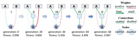 1 A Example Of Evolving Neural Network For XOR Gate Function Using Download Scientific