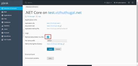 How To Check The Error Log Of Aspnet Websites In Plesk Milesweb