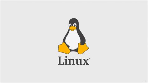 Những điều Bạn Cần Biết Về Hệ điều Hành Linux Idc Online
