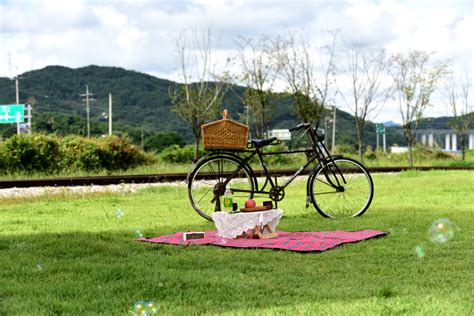 가을 피크닉 명소 서도역과 힐링 수목원 아담원 두피디아 여행기