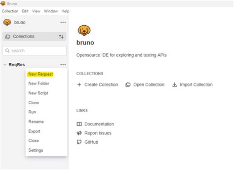 Bruno Github Ultimate Api Test Automation Giridhar Rajkumar