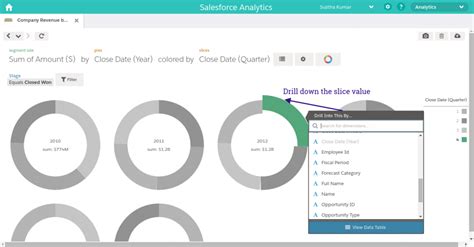 Salesforce Wave Analytics Cloud Mst Solutions