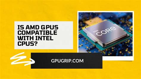 AMD GPU Intel CPUAre They Both Good Together GPUGrip Com