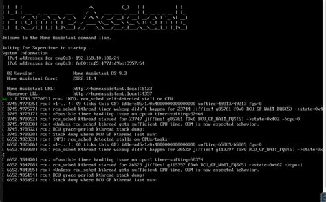 Windows 11 Virtual Box Is Crashing After Some Time Home Assistant