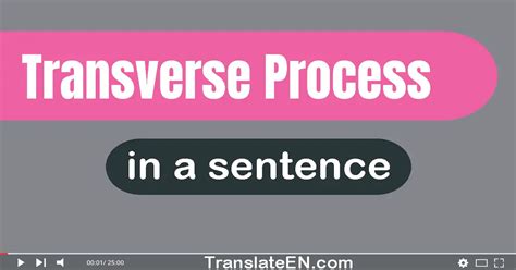 Transverse Process In A Sentence