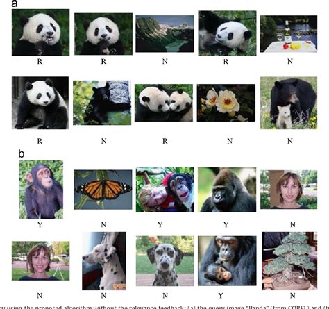 Figure 3 From An Image Retrieval Scheme With Relevance Feedback Using