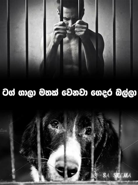 වරදක් වෙනවට කව්රුත් කැමති නැහැ Niwanmagabuduguna Niwan Niwanmaga Buduguna Budubana Youtube