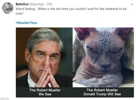 Muellers Russia Investigation Inspires Hilarious Memes Daily Mail Online