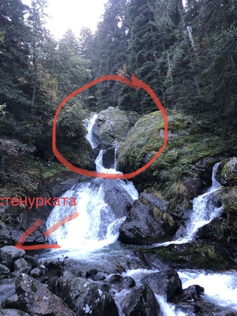 Костенурка Борислав Георгиев Flickr