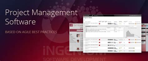 teampulse a project management solution from telerik ingenium web