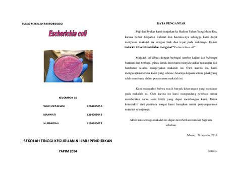 Doc Makalah Escherichia Coli