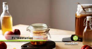 Types Of Fermentation Biomadam