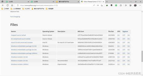 Python安装详细教程，简单！python如何安装到其他盘 Csdn博客