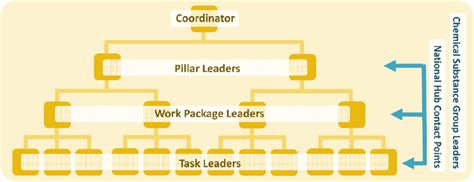 Hbm4eu Scientific Governance Structure Schematic Download Scientific Diagram