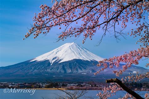 富士山開山日の登山者数が過去最高を記録！静岡県は予想を上回る人気に ニュースストライカー9