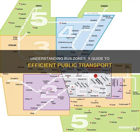 Understanding Bus Zones A Guide To Efficient Public Transport ShunAuto