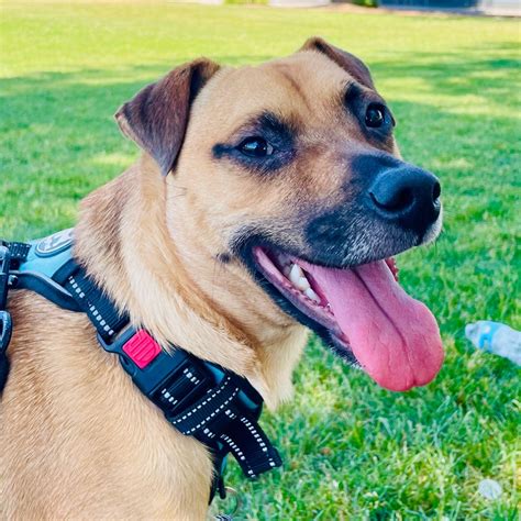 Boqiang Liang Medium