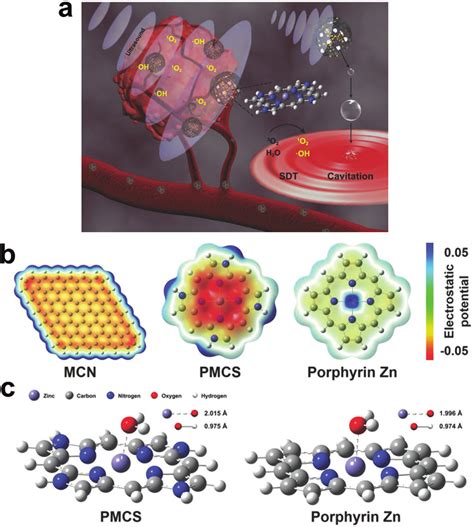 A Schematic Illustration Of Augmented Sdt Of Pmcs B Electrostatic