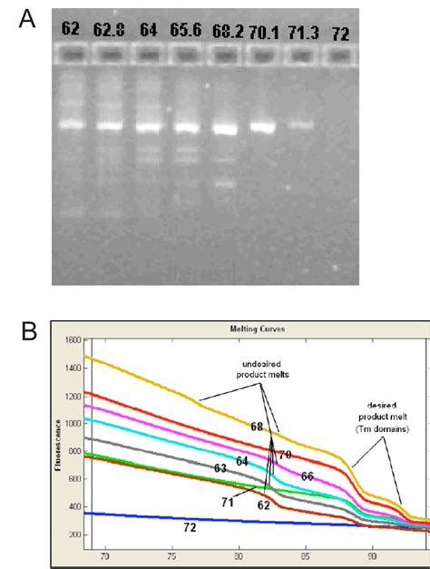 Pcr Troubleshooting And Optimization Figure